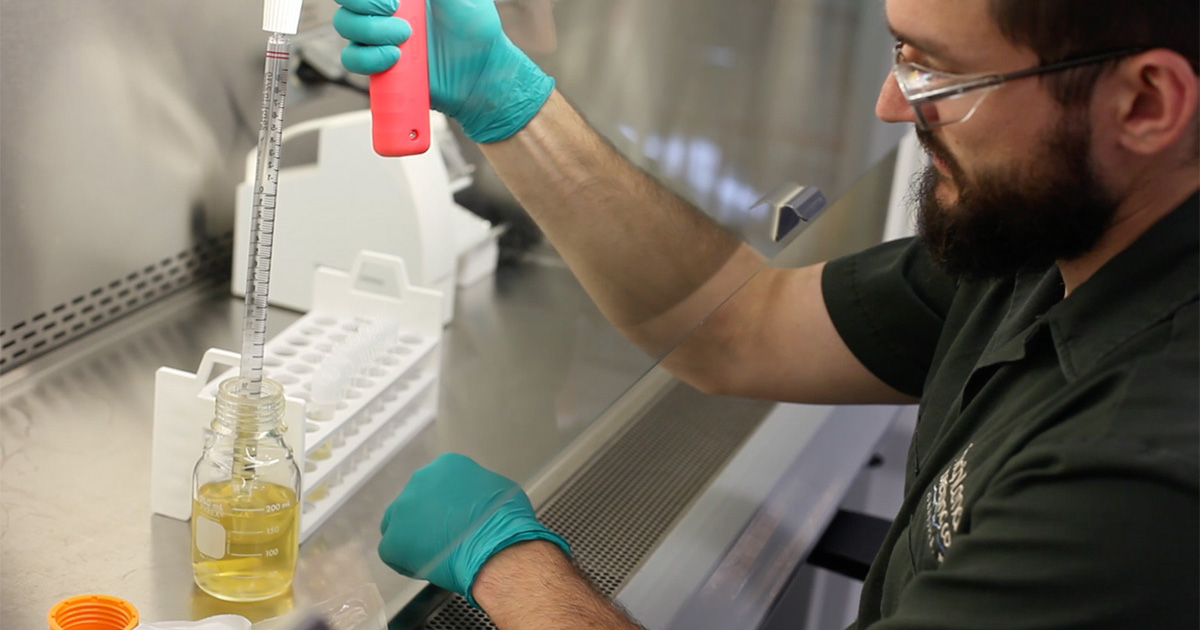 ASBC Microbiological Control 1a: Aseptic Sampling of Beer in Process