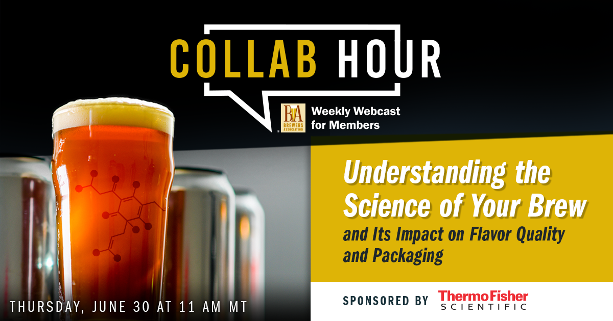 Understanding the Science of Your Brew and Its Impact on Flavor Quality