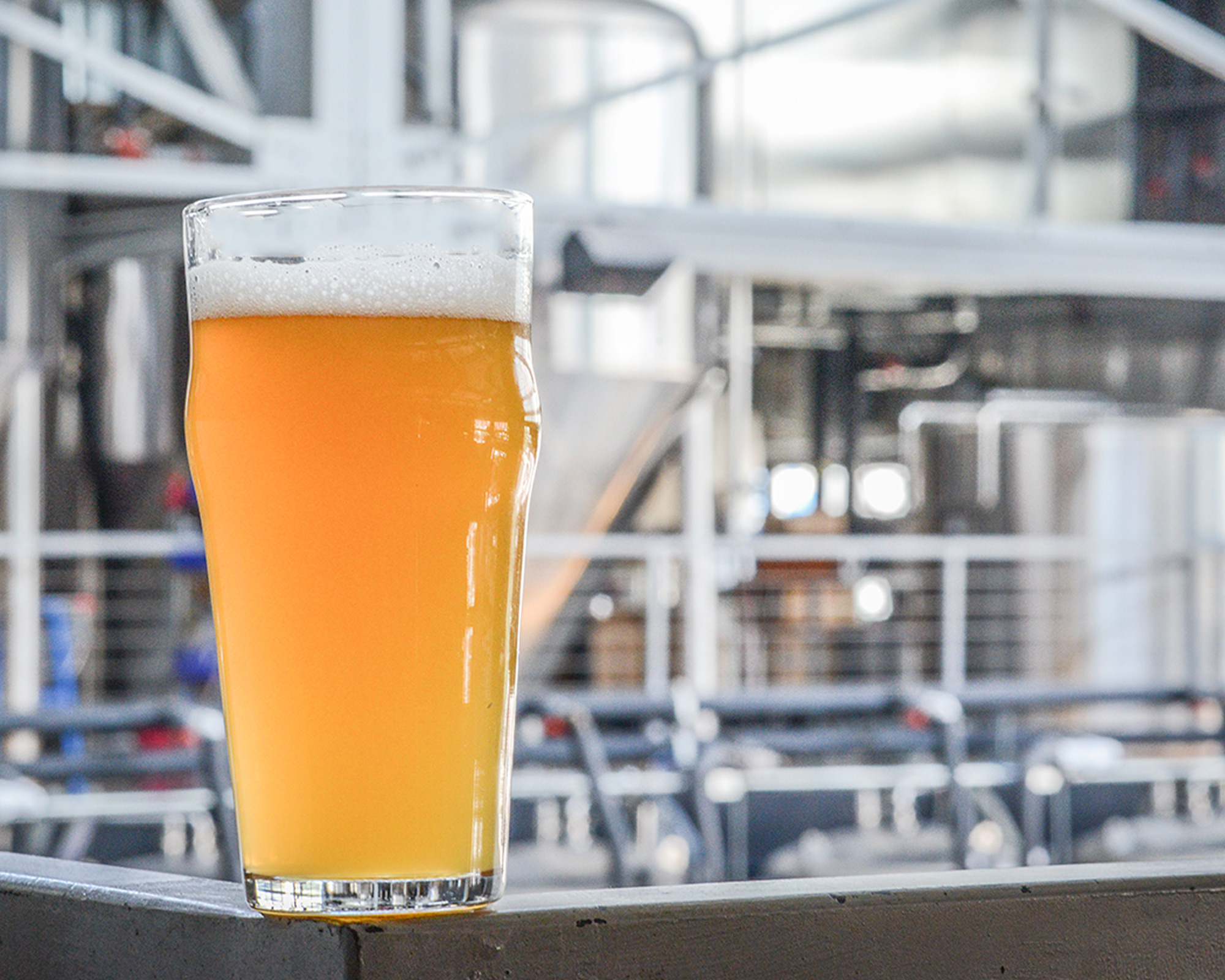 Human Resources Guide to Parting Ways | Brewers Association