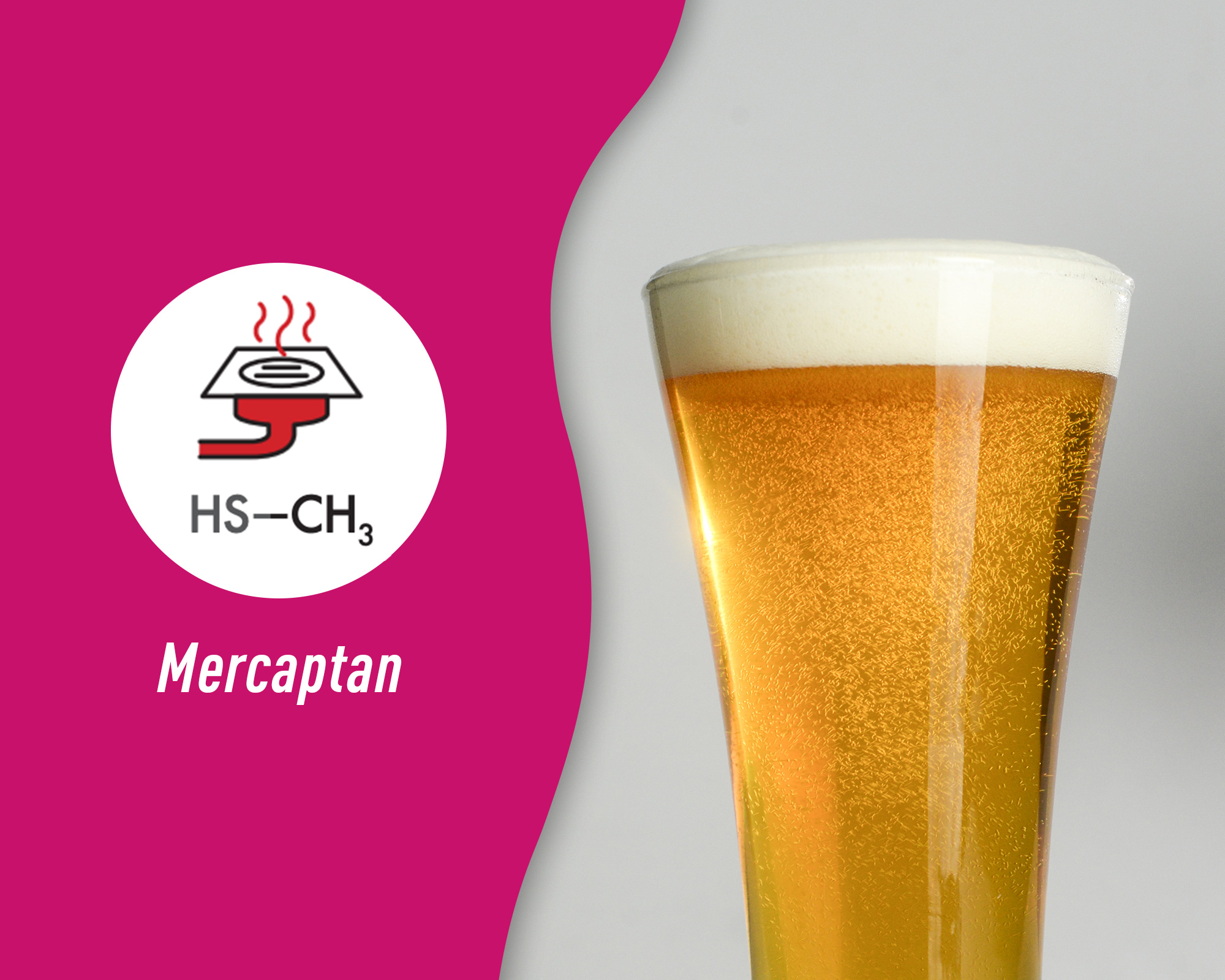 How To Manage Off Flavors in Beer: Mercaptan | Brewers Association